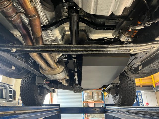 Next-Gen Raptor – Brown Davis Africa